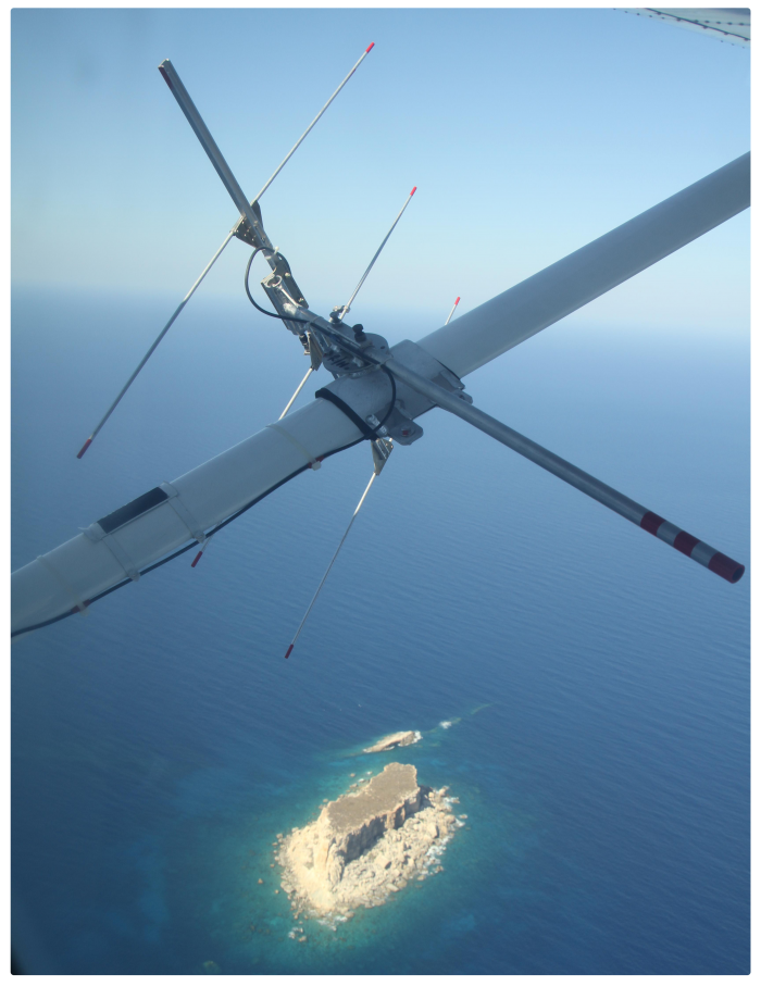Malta Seabird Project : BirdLife Malta