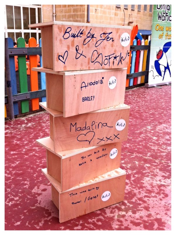 APUS Swift Project | BirdLife Malta