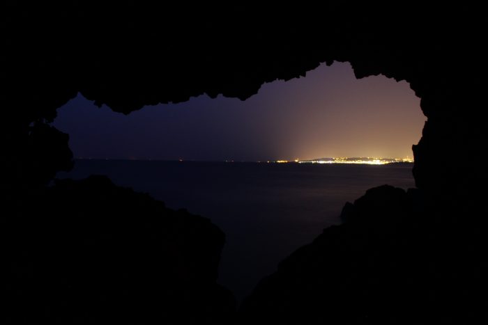 Stranded seabirds rescued by BirdLife Malta, as Yelkouan Shearwater ...