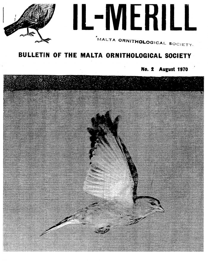Il-Merill - BirdLife Malta