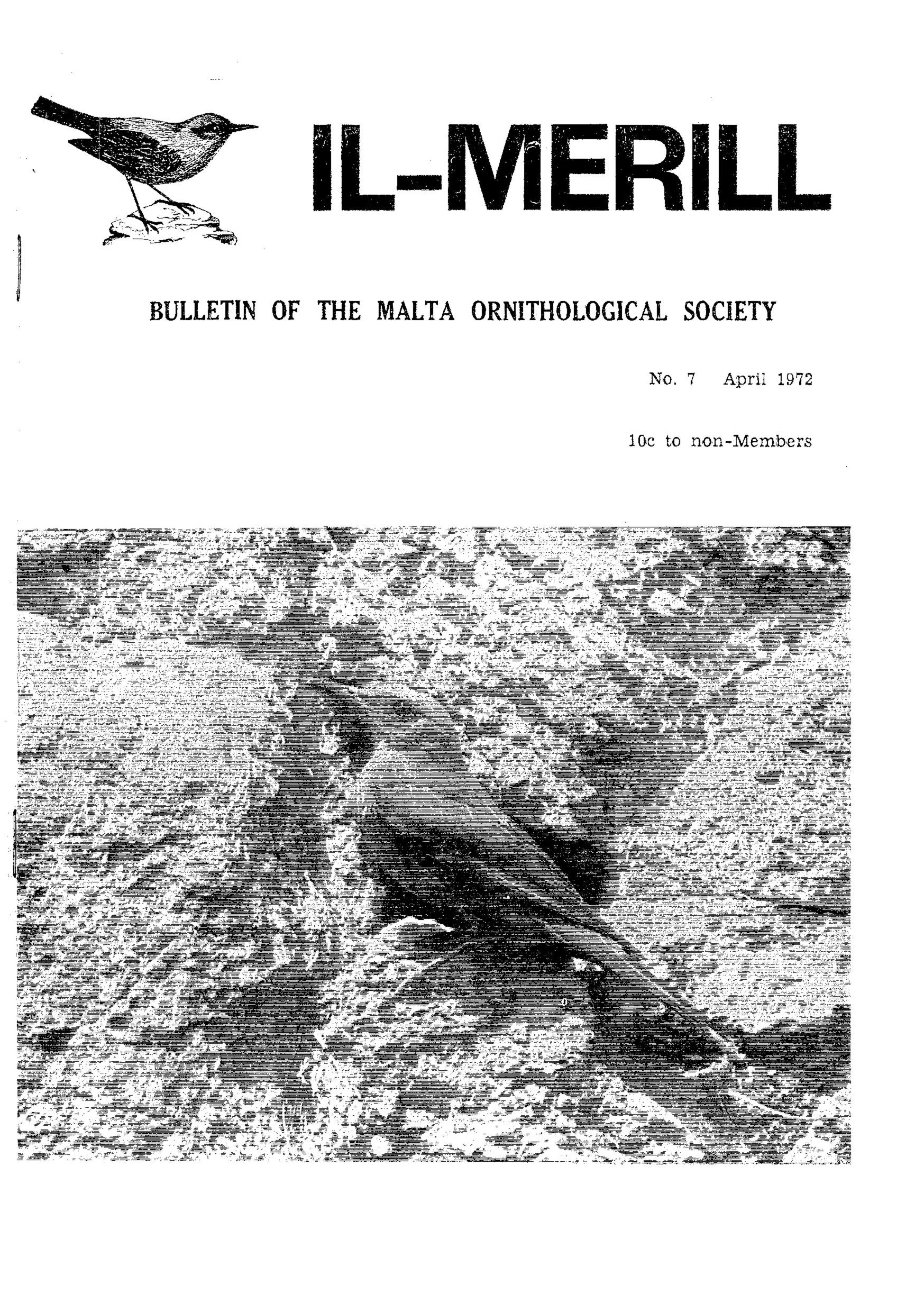 Il-Merill - BirdLife Malta