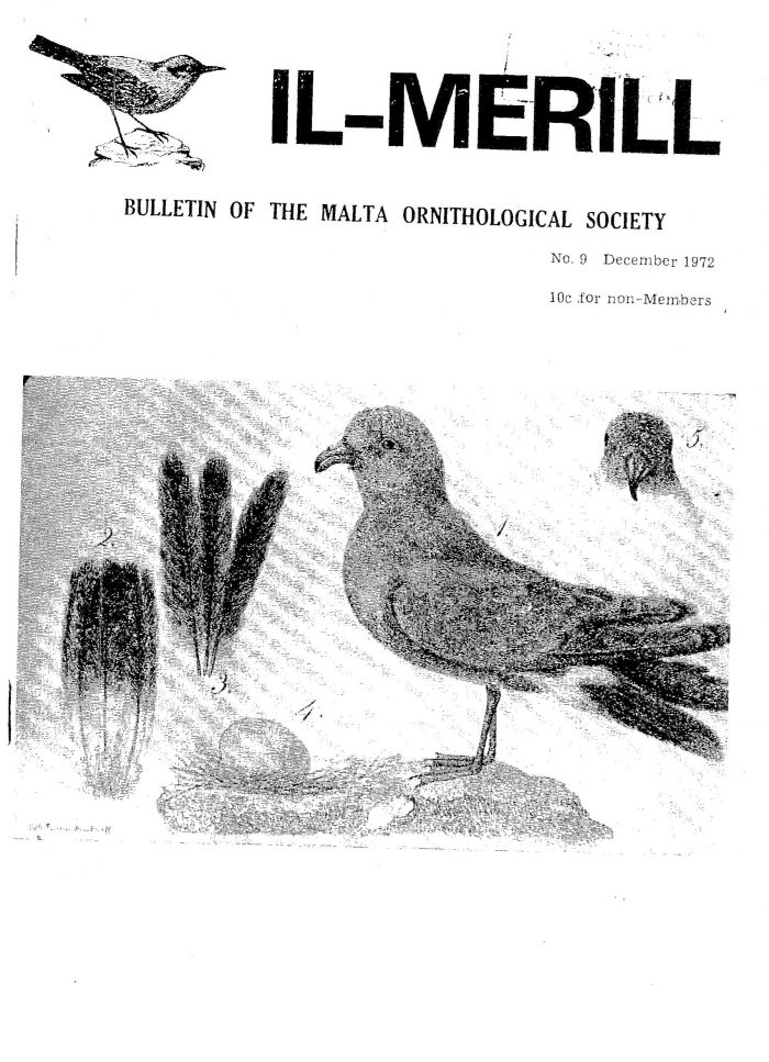 Il-Merill - BirdLife Malta