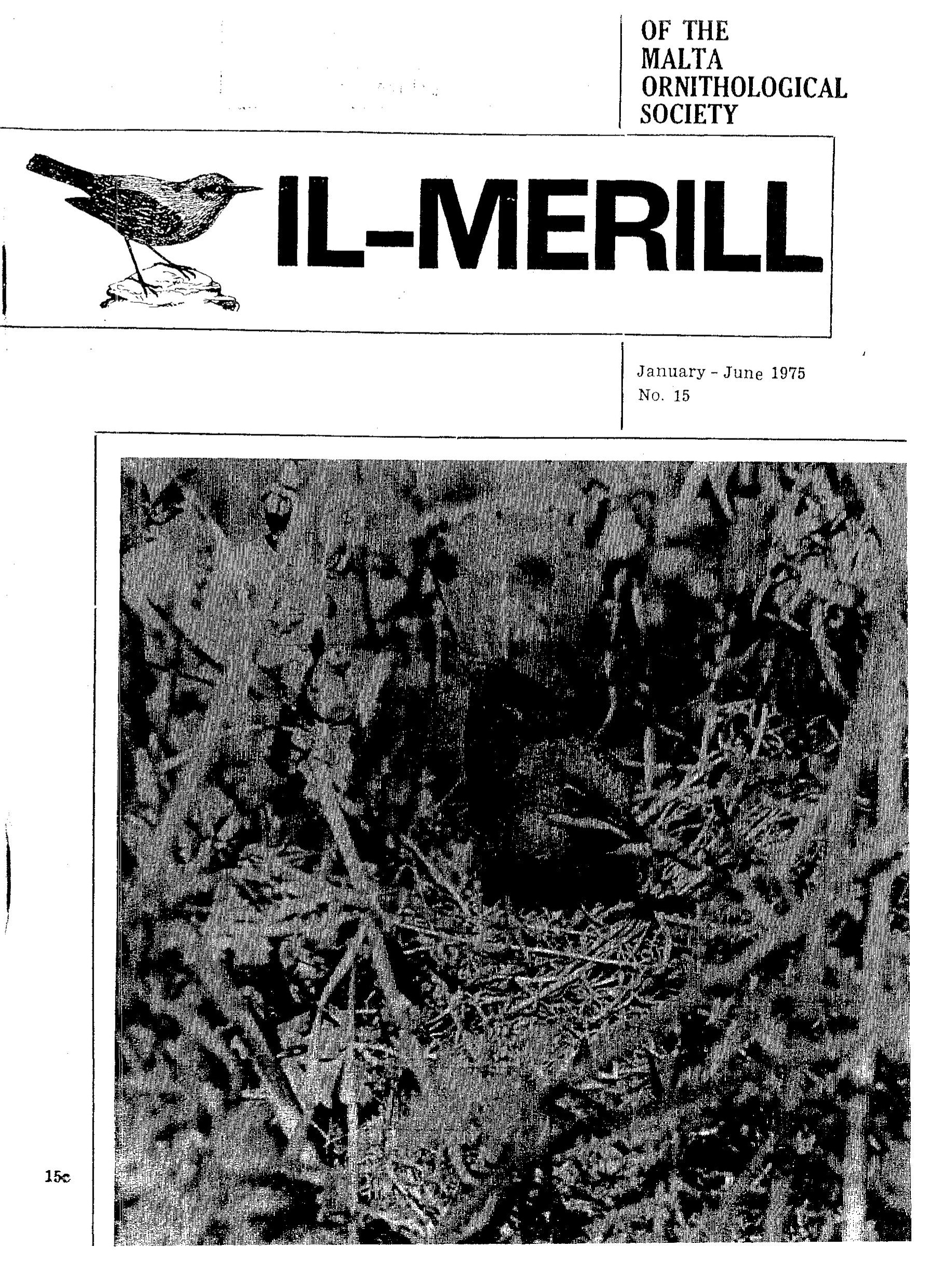 Il-Merill | BirdLife Malta