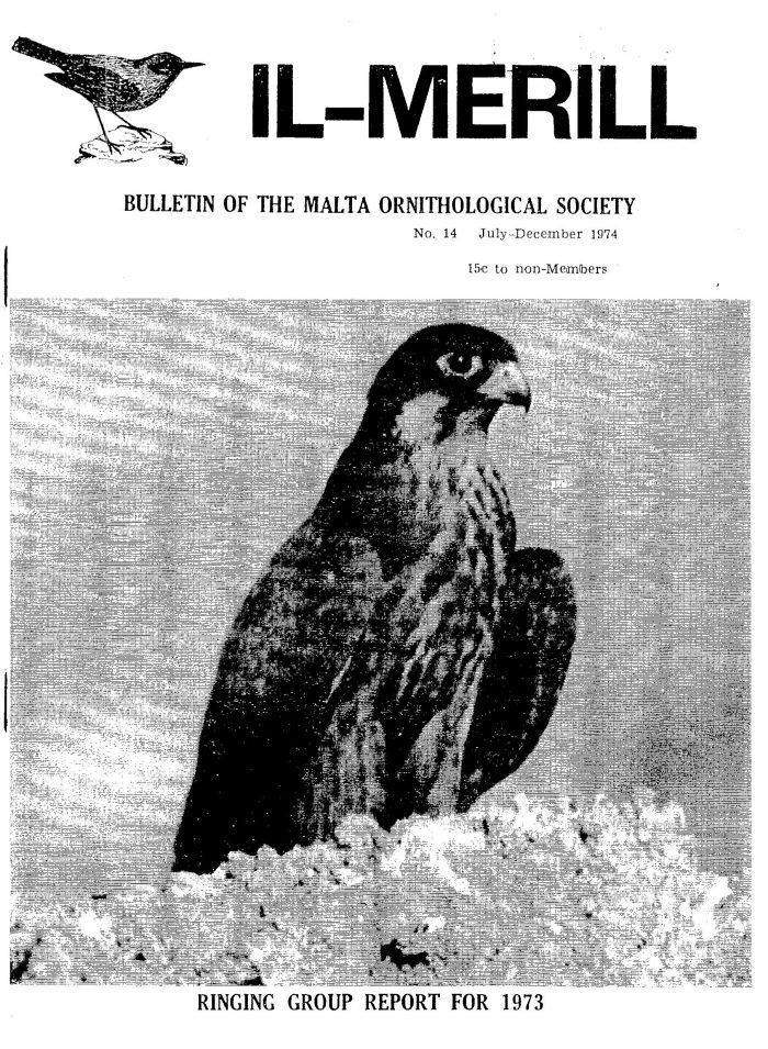 Il-Merill | BirdLife Malta