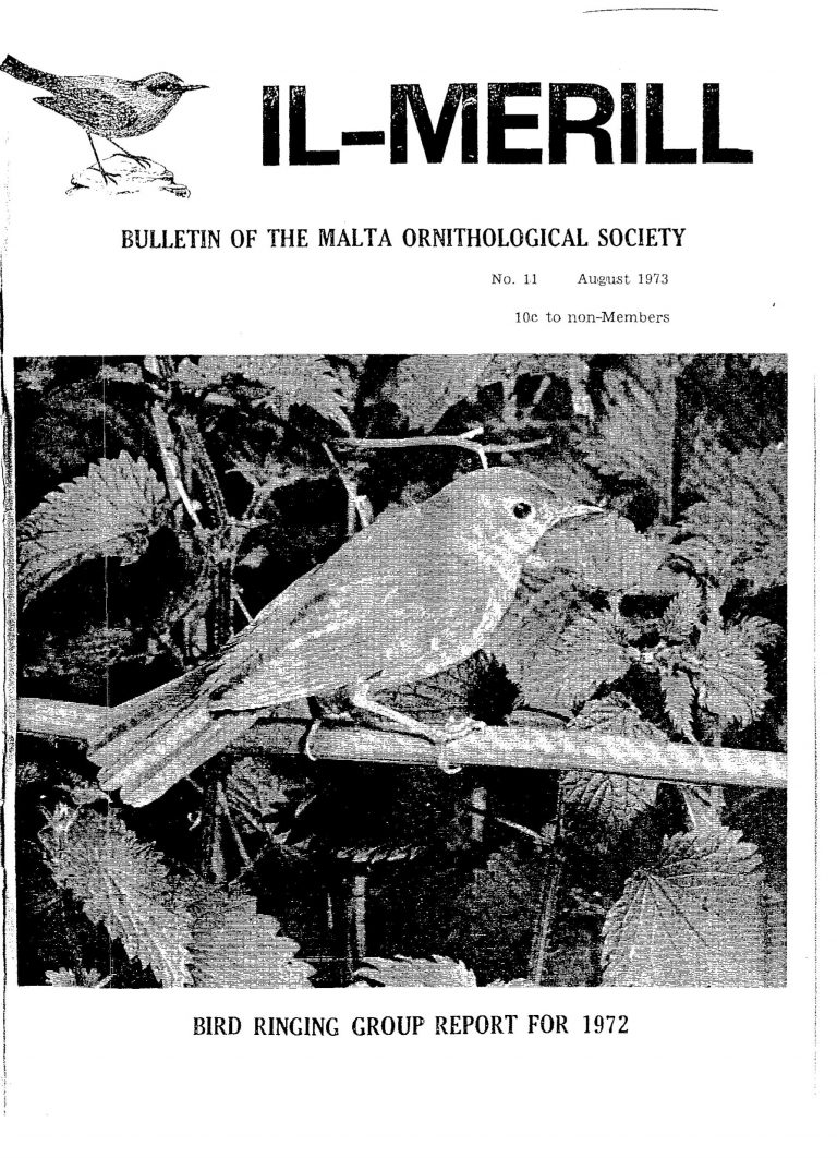 Il-Merill | BirdLife Malta
