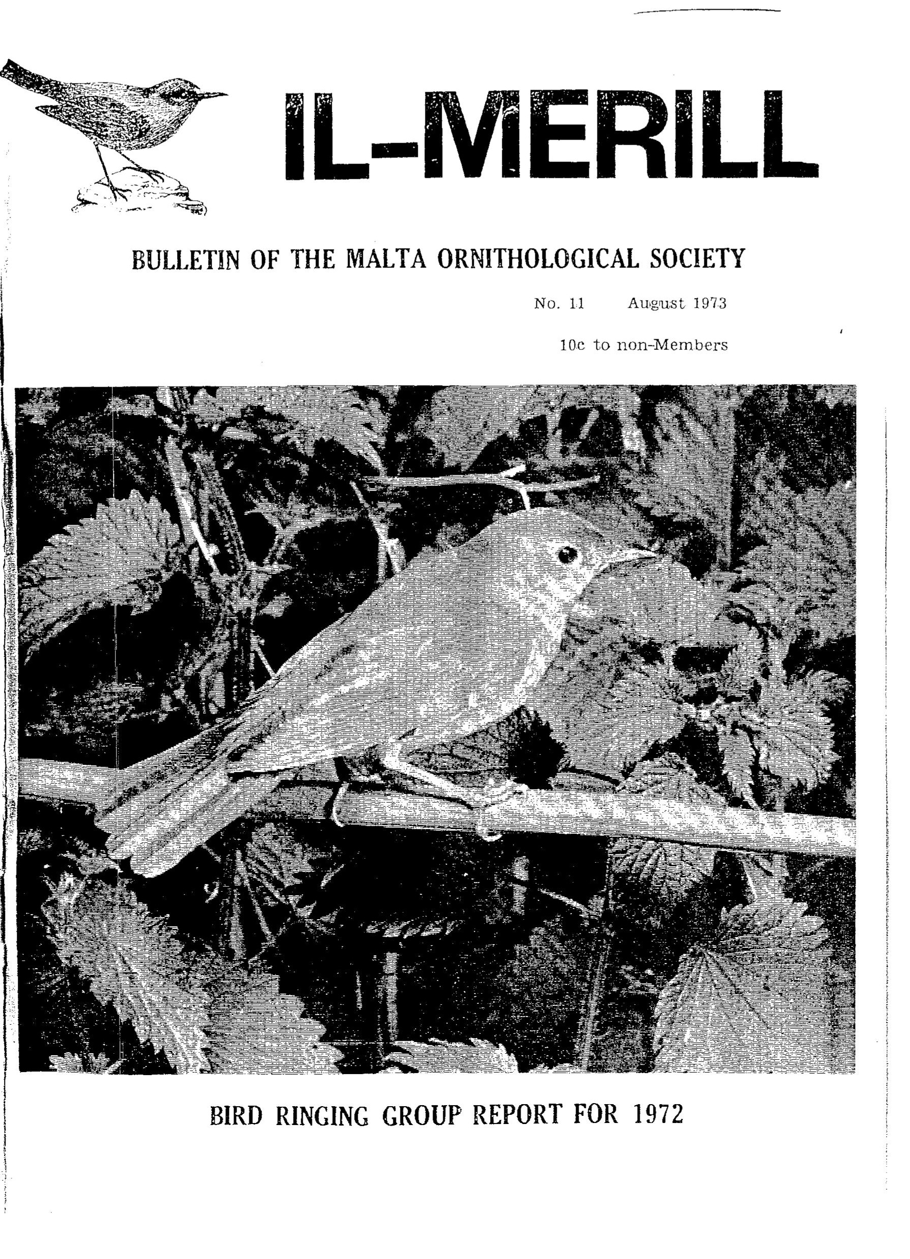 Il-Merill | BirdLife Malta