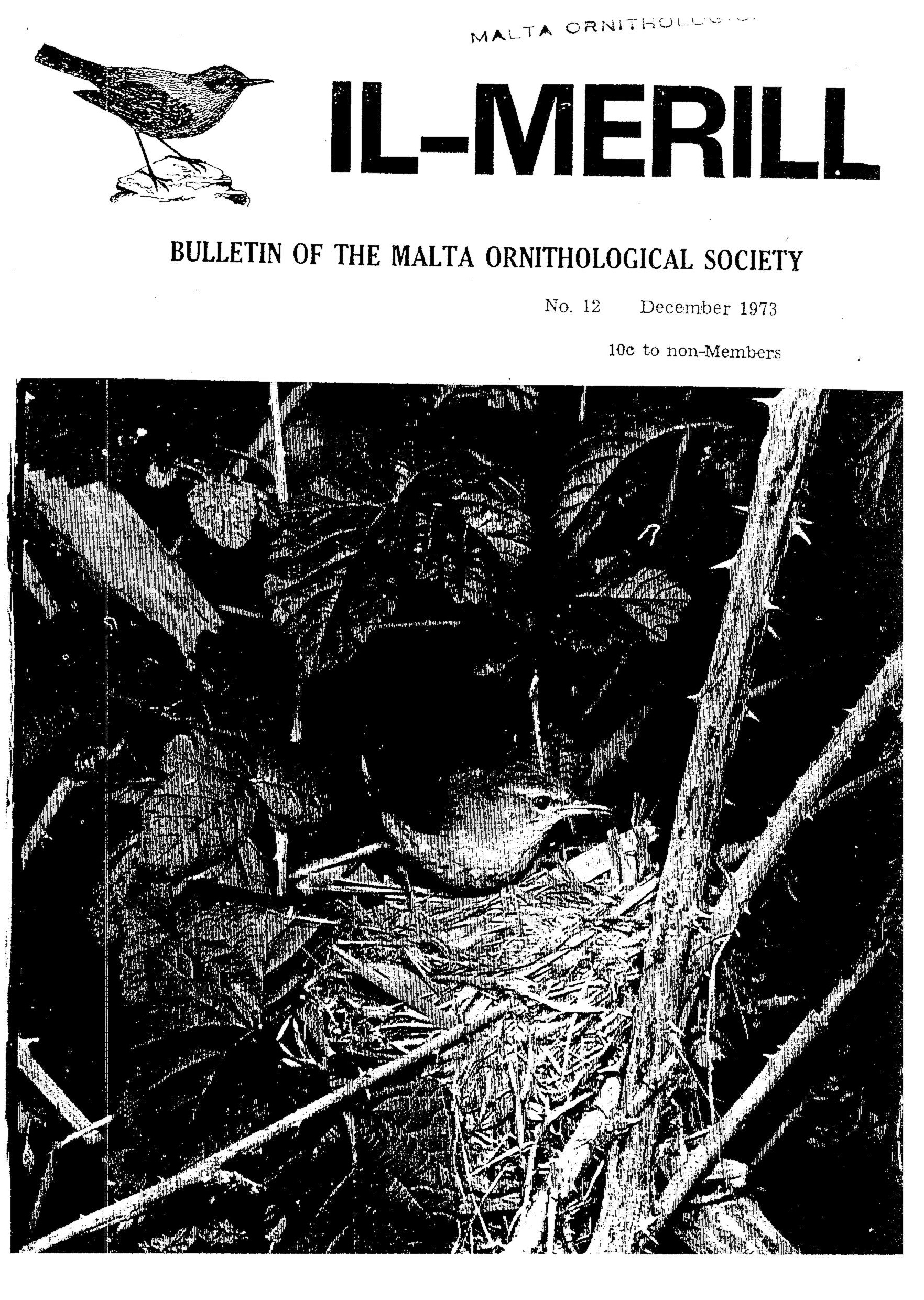 Il-Merill | BirdLife Malta