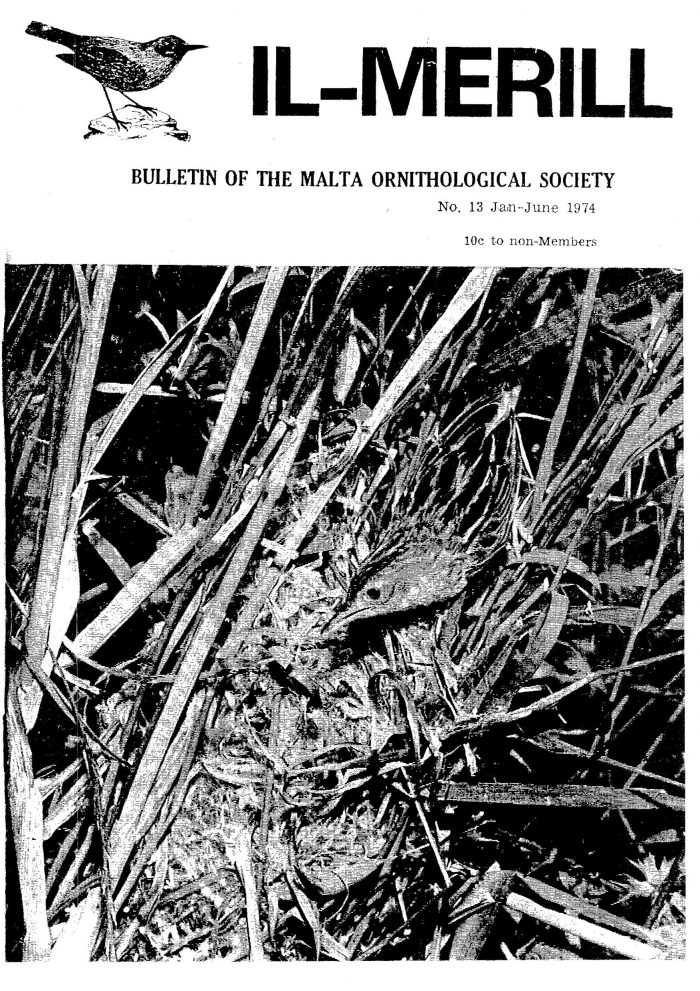 Il-Merill | BirdLife Malta