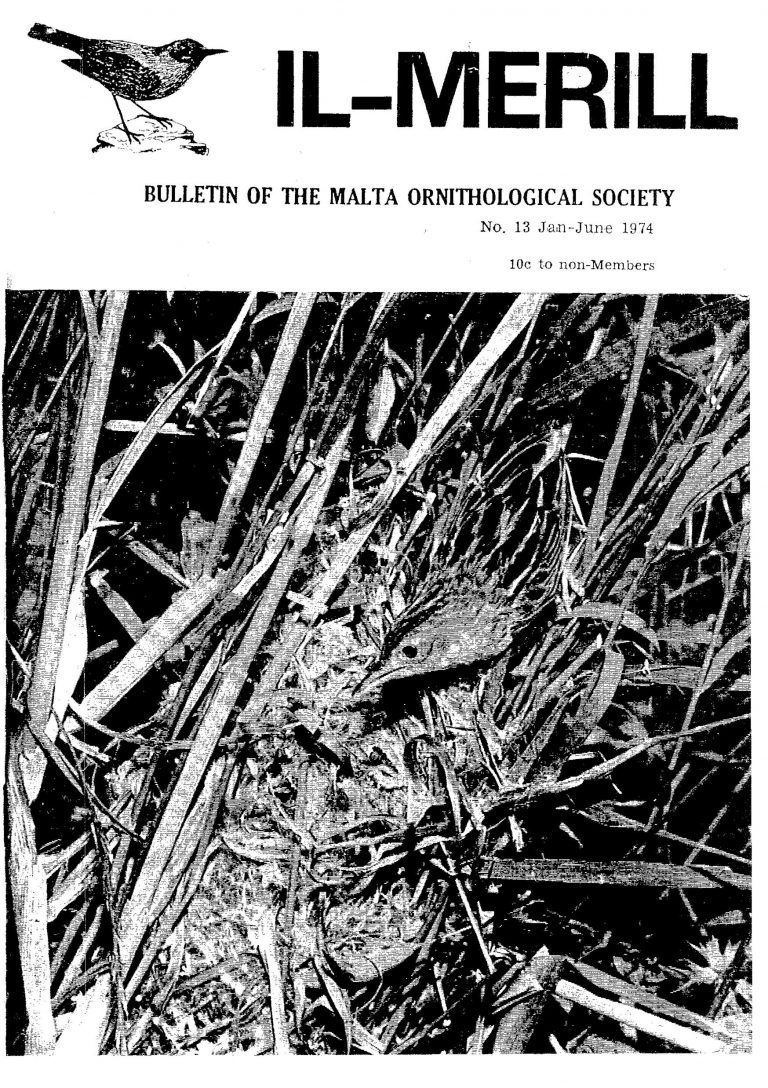Il-Merill | BirdLife Malta