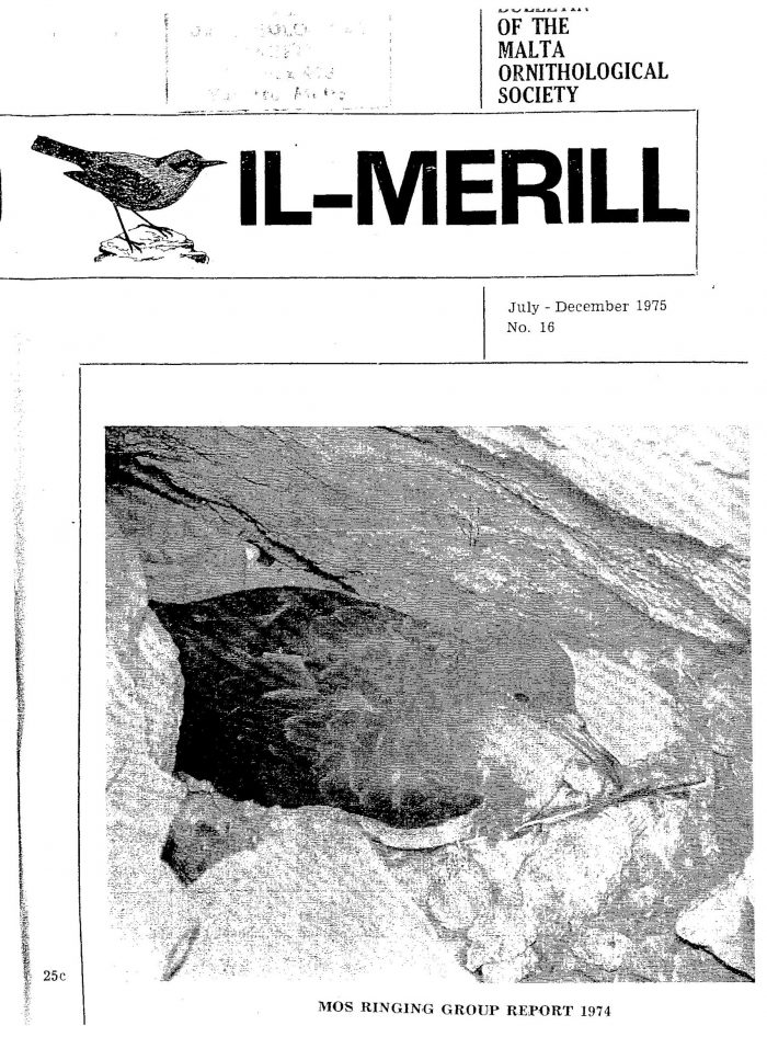 Il-Merill | BirdLife Malta
