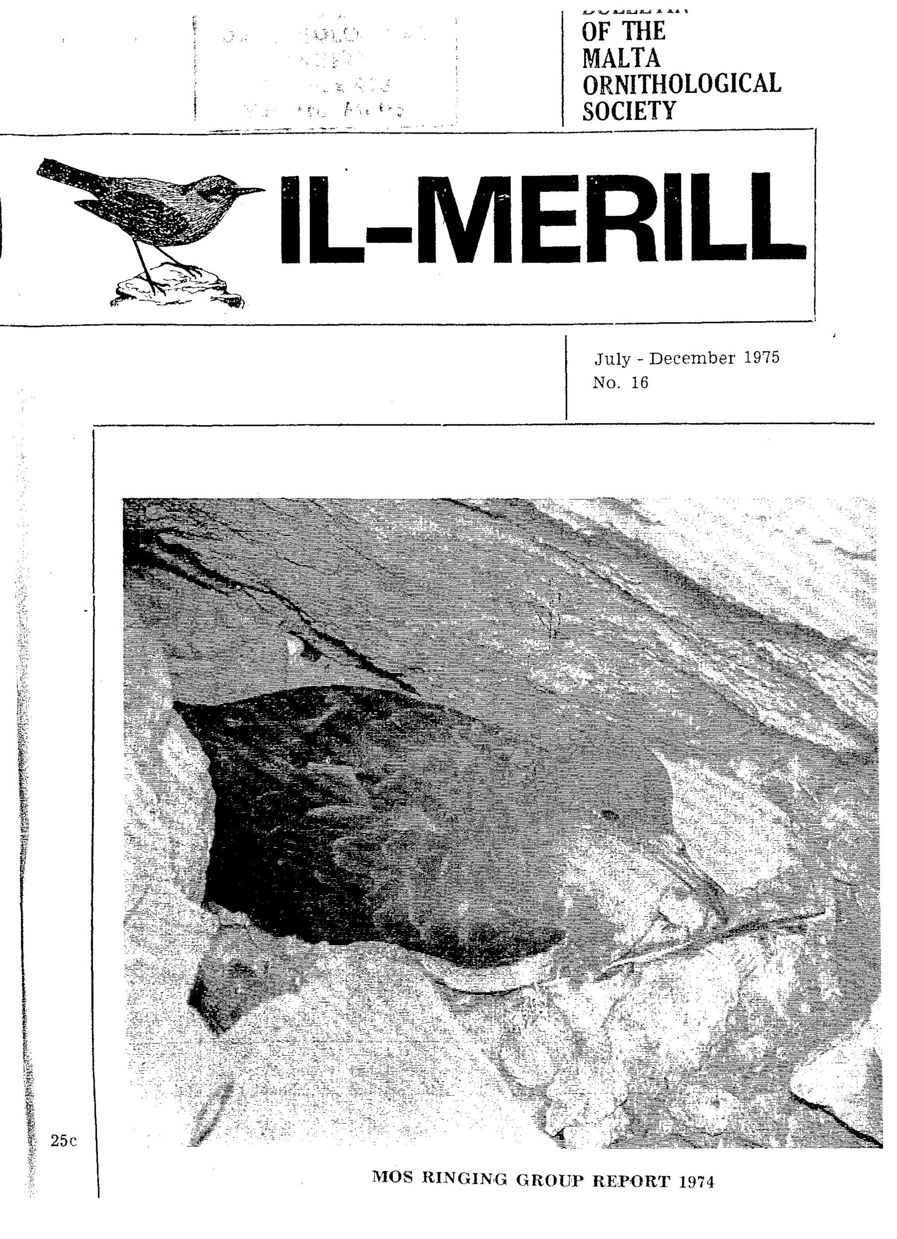 Il-Merill | BirdLife Malta