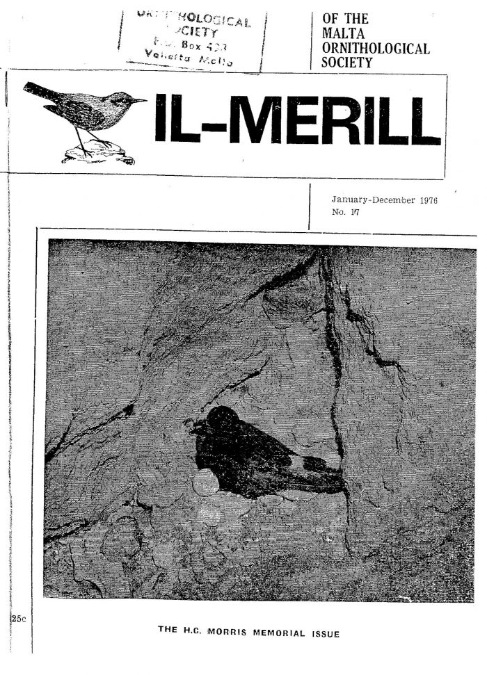 Il-Merill | BirdLife Malta