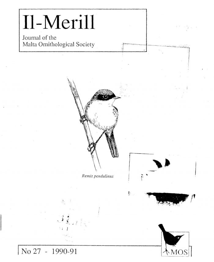 Il-Merill | BirdLife Malta