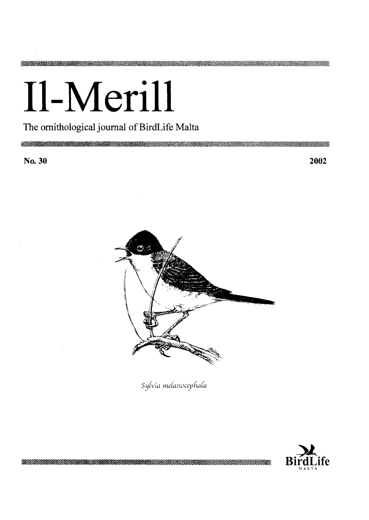 Il-Merill | BirdLife Malta