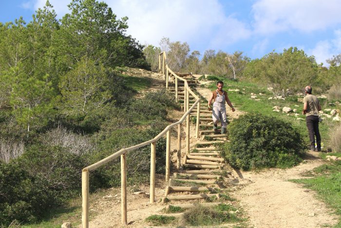 Foresta 2000 given a facelift following last year’s spate of vandalism ...