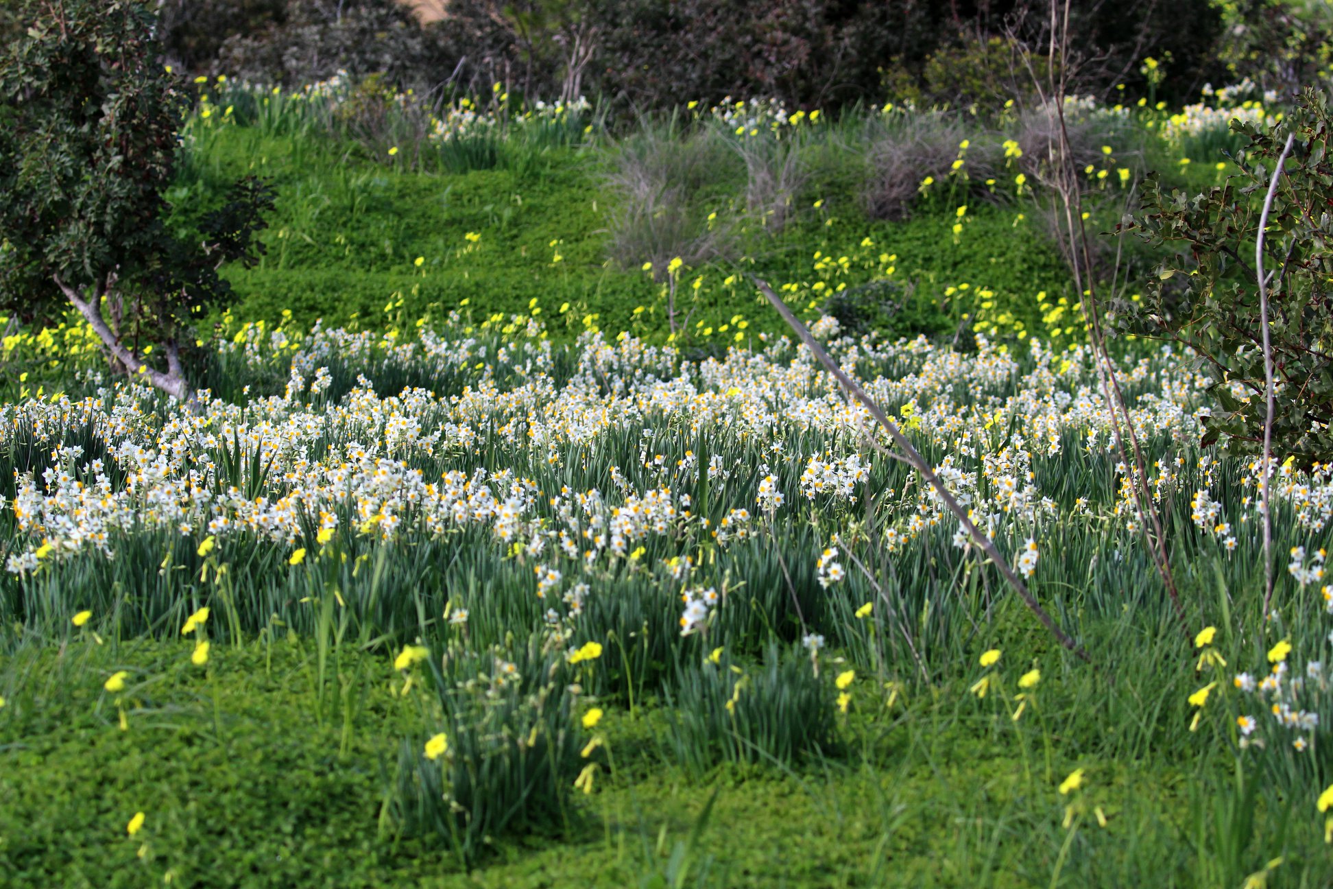 Rangers: who are they? | BirdLife Malta