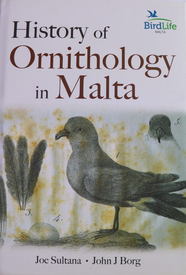 Birds of Malta photo competition - CLOSED | BirdLife Malta
