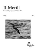 Il-Merill | BirdLife Malta