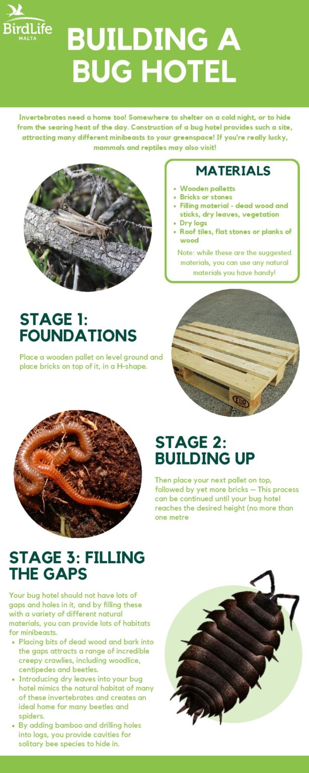 Resources | BirdLife Malta