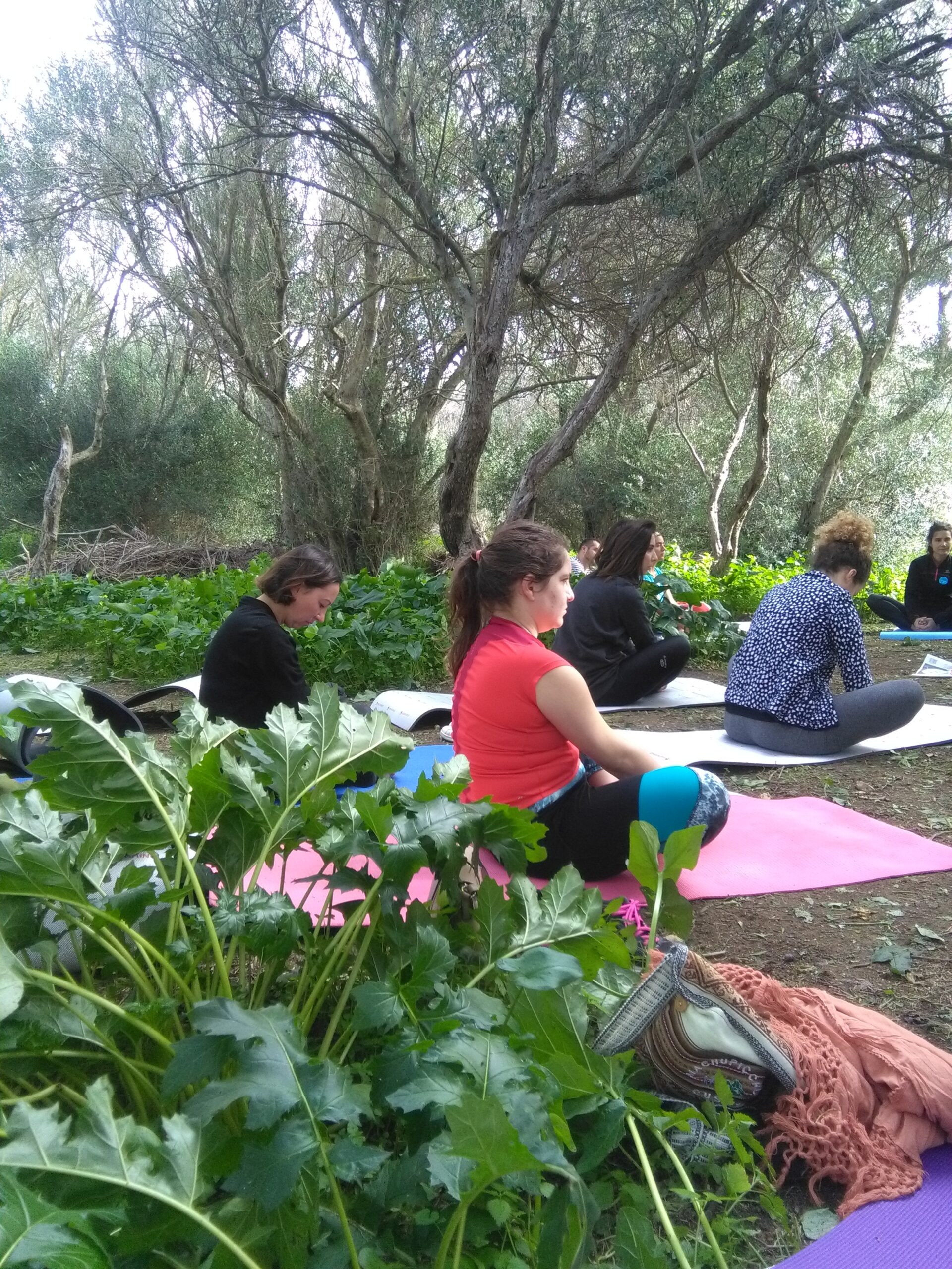 Ecotherapy - BirdLife Malta