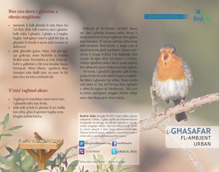 Resources : BirdLife Malta