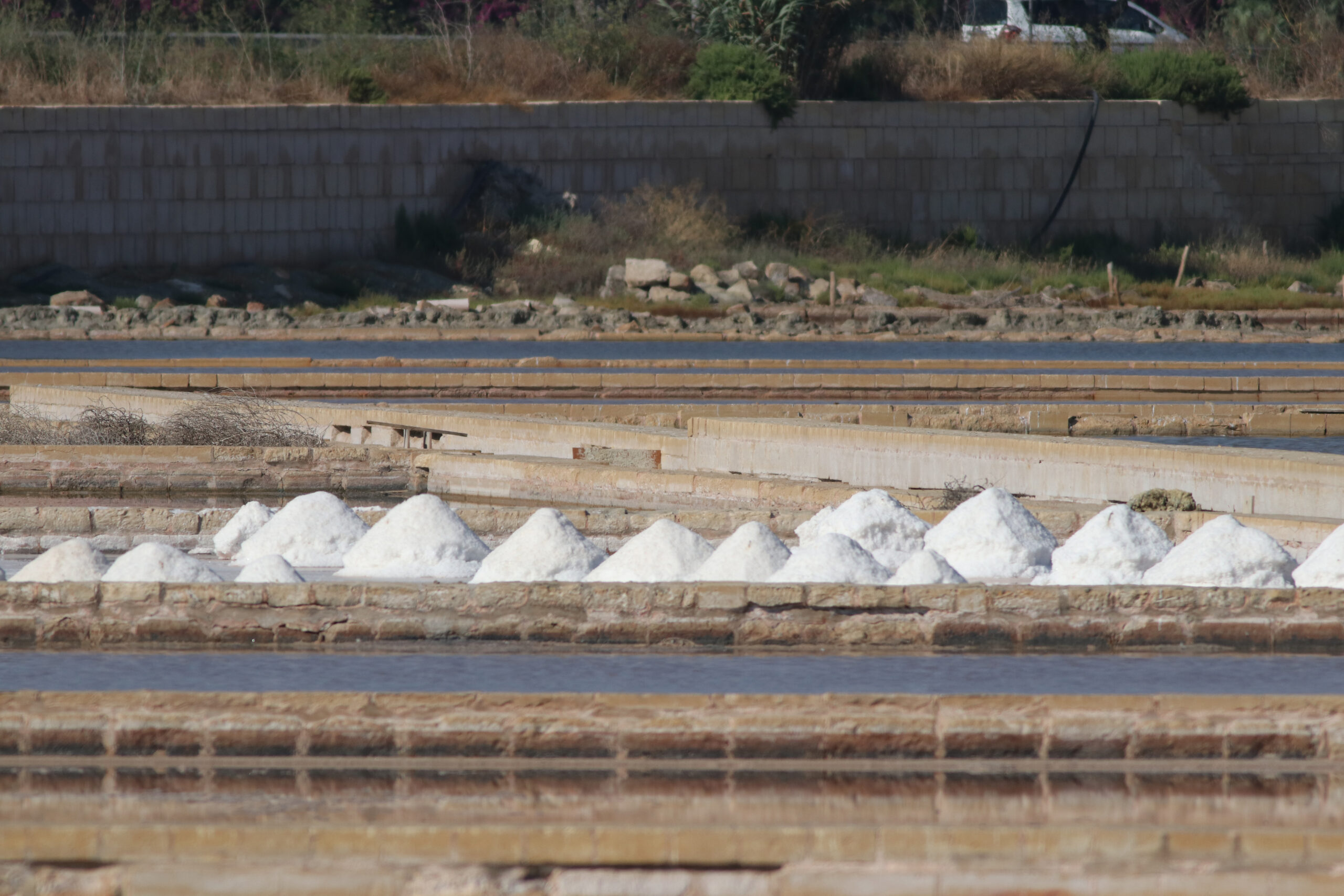 Salt Harvesting Week – FULLY-BOOKED : BirdLife Malta