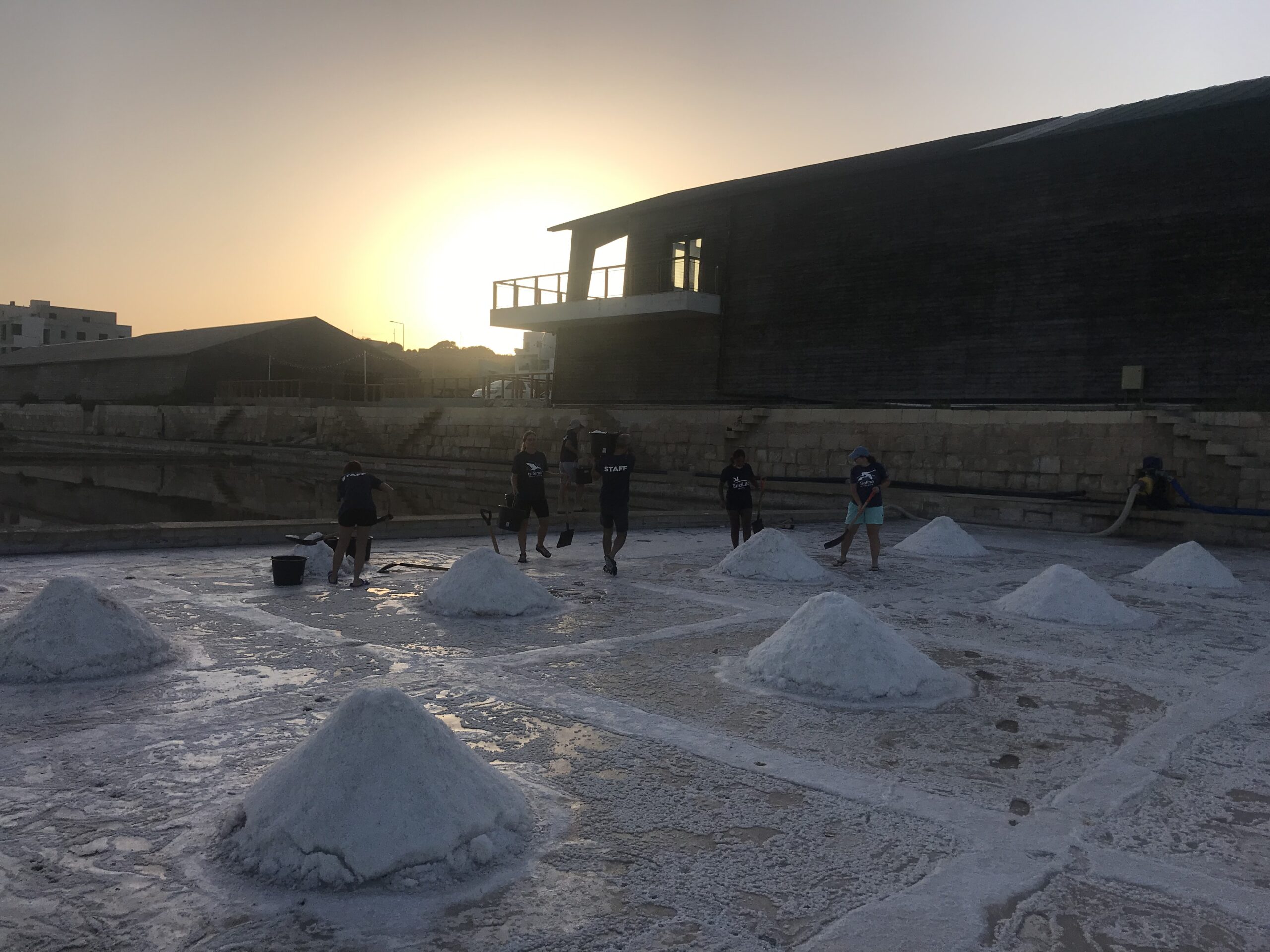 Salt Harvesting Week – FULLY-BOOKED : BirdLife Malta