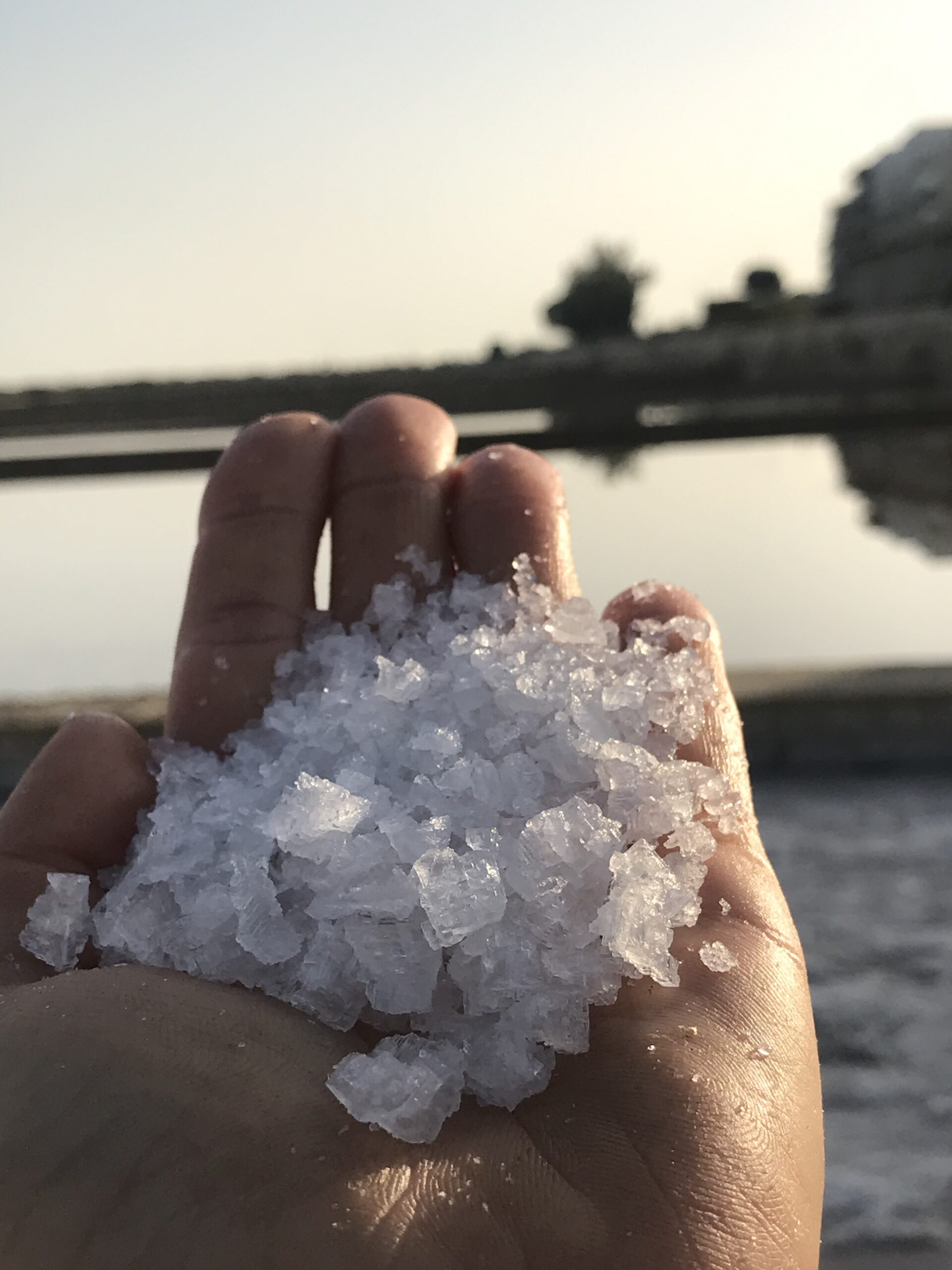 Salt Harvesting Week – FULLY-BOOKED : BirdLife Malta
