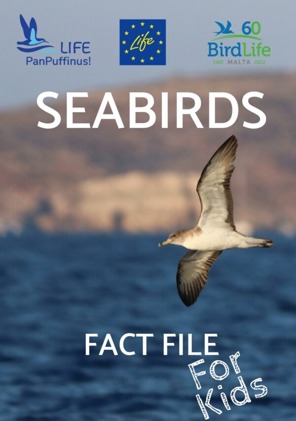 Resources : BirdLife Malta