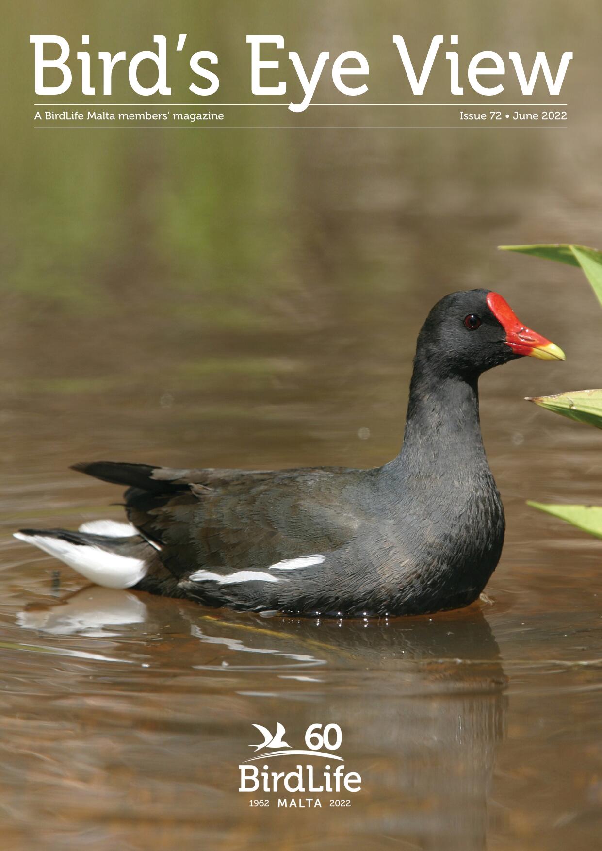 Publications - BirdLife Malta
