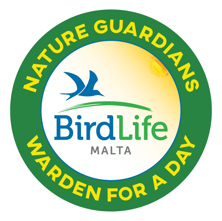 Nature Guardians (Summer 2025 edition) : BirdLife Malta