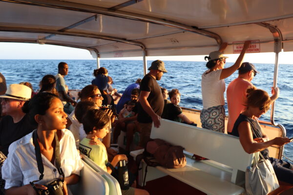 Our favourite summer adventure! | BirdLife Malta