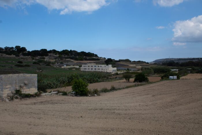 Close down scam sheep farm in Bidnija | BirdLife Malta