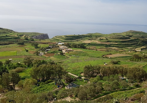 Events | BirdLife Malta