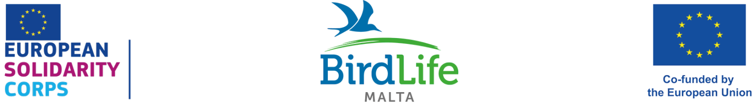 Jobs | BirdLife Malta