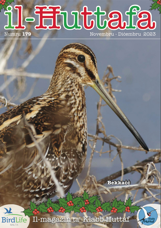 Publications and books | BirdLife Malta