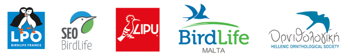 NAT-Helpers : BirdLife Malta