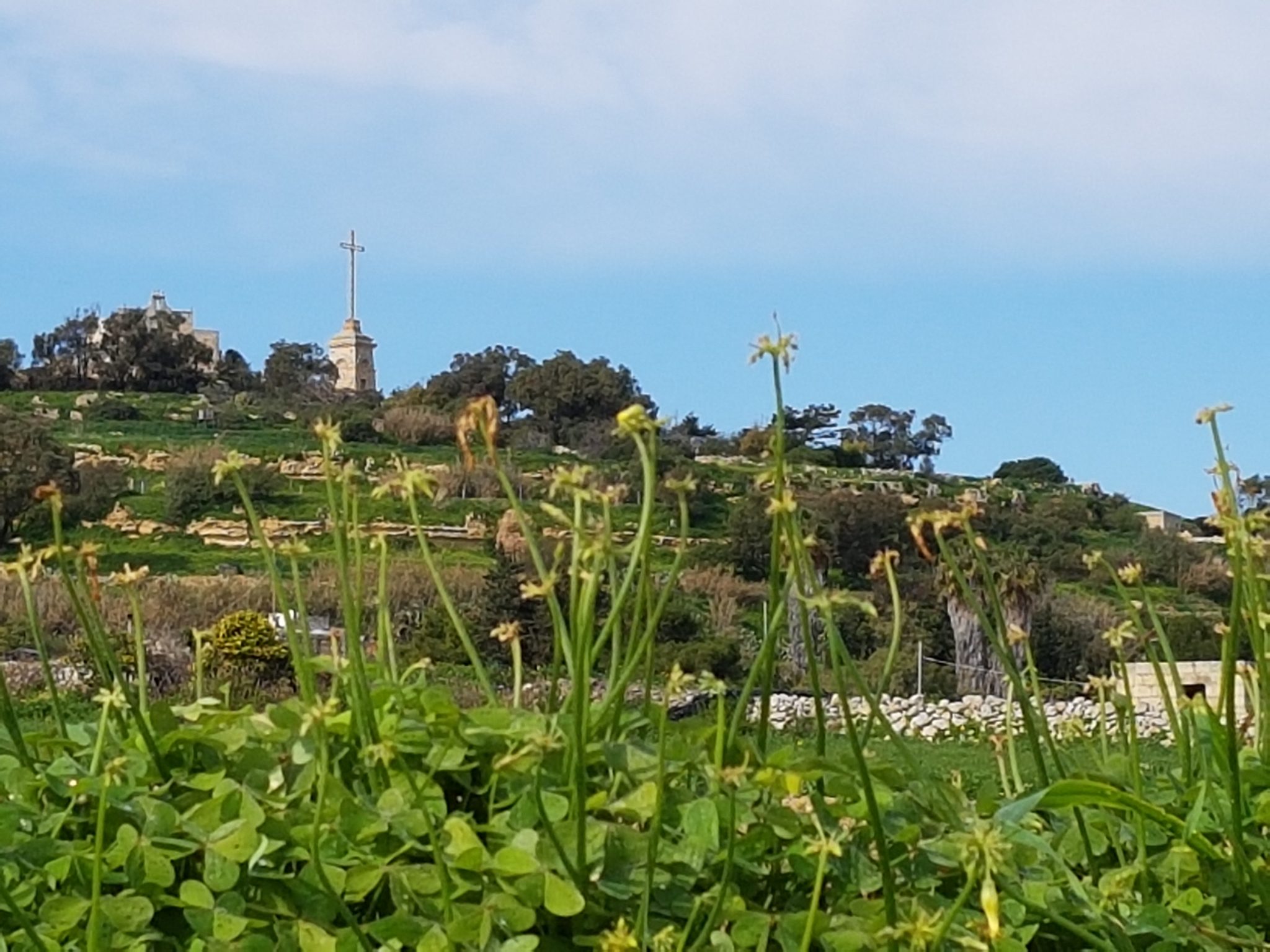 Nature Walk around Buskett : BirdLife Malta