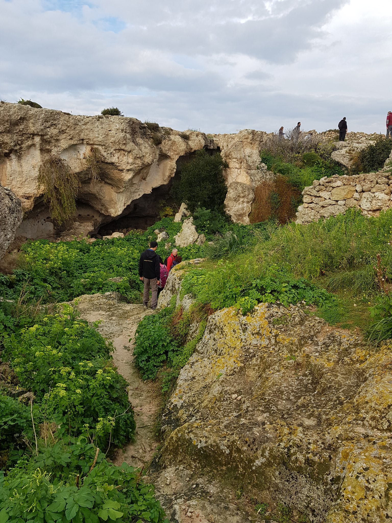 Nature Walk around Buskett : BirdLife Malta