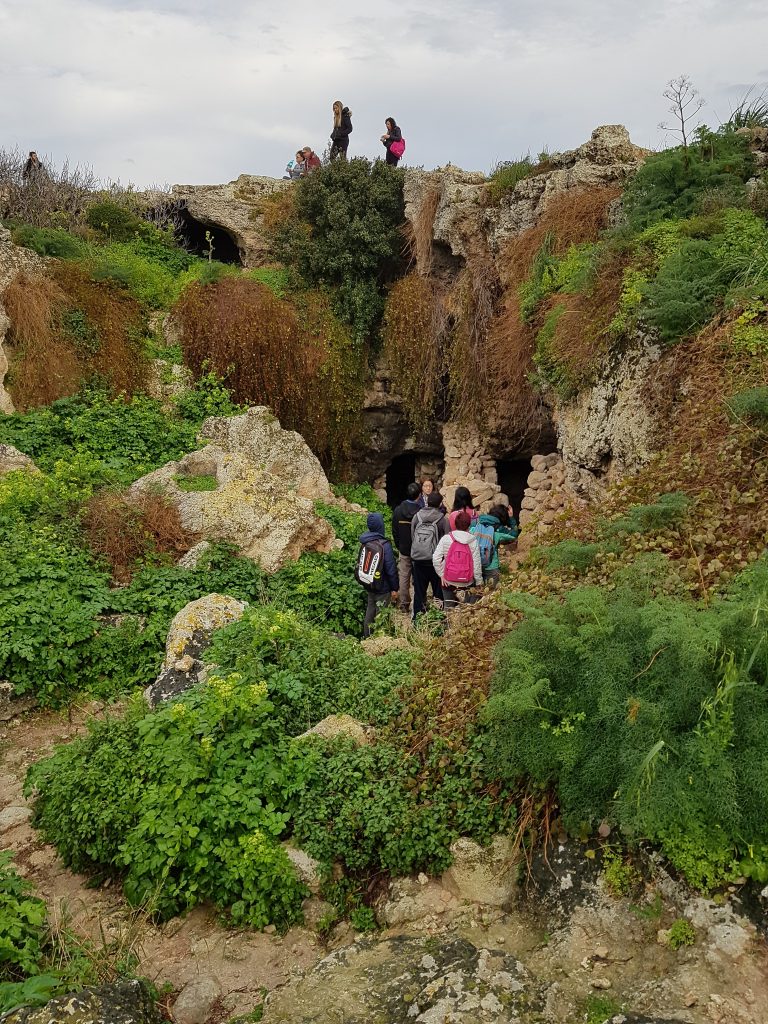Nature Walk around Buskett : BirdLife Malta