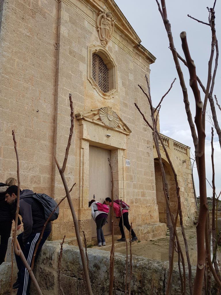 Nature Walk around Buskett : BirdLife Malta