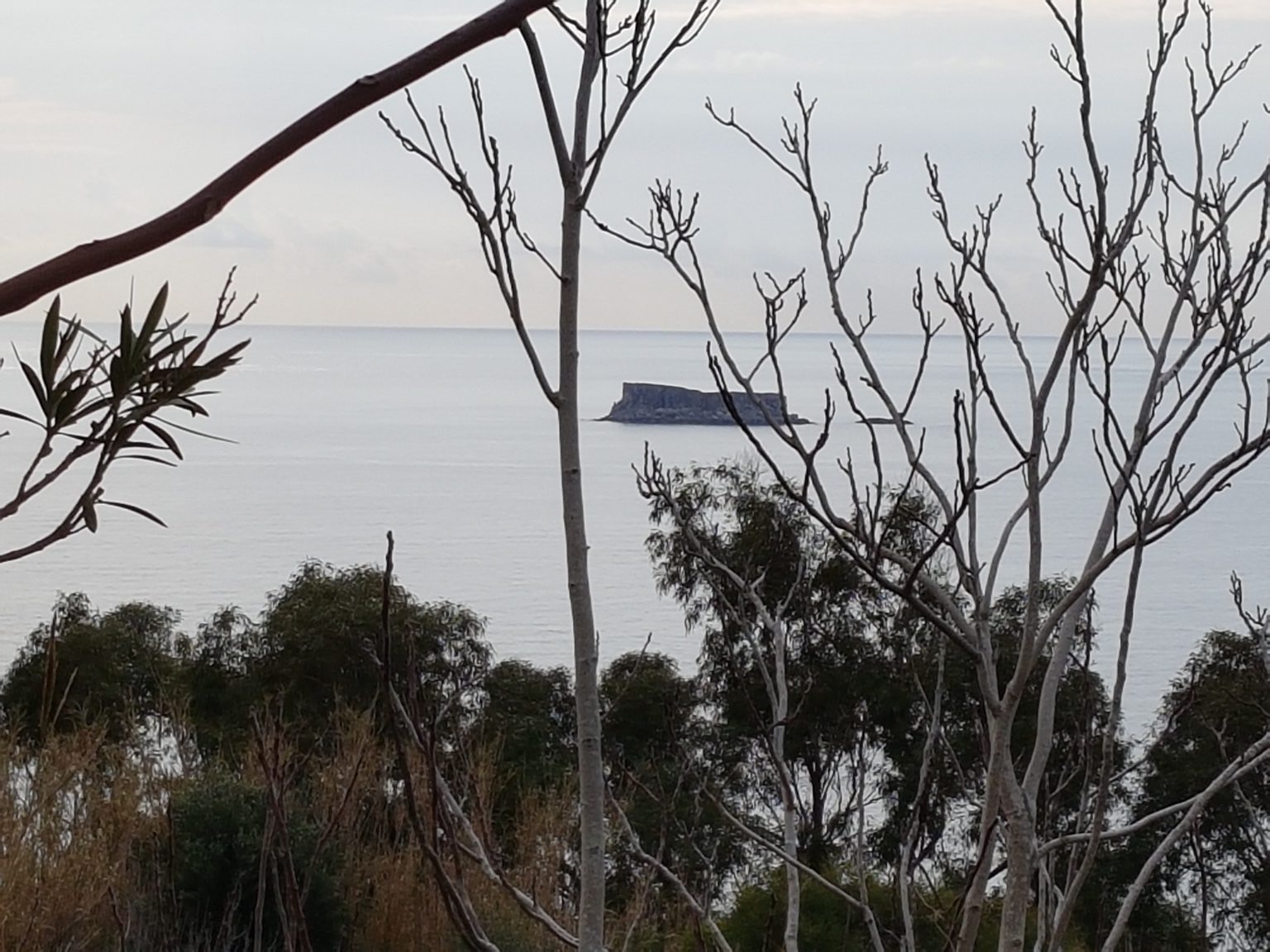 Nature Walk around Buskett : BirdLife Malta