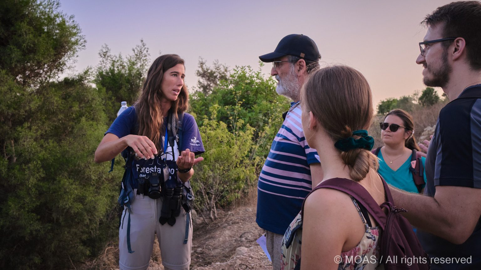 Foresta 2000 Sunset Walk (fully-booked) | BirdLife Malta