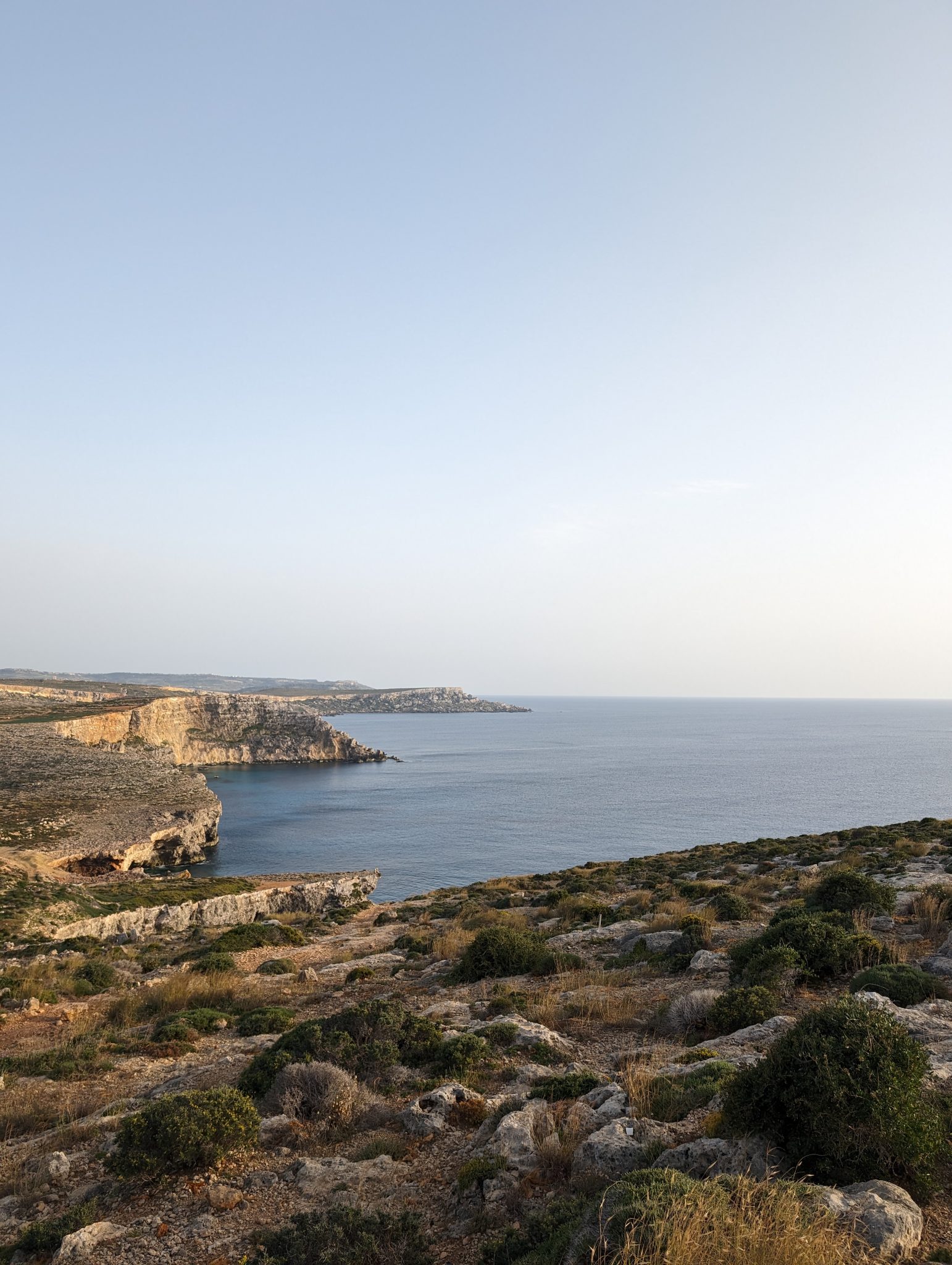 Foresta 2000 Sunset Walk (fully-booked) | BirdLife Malta