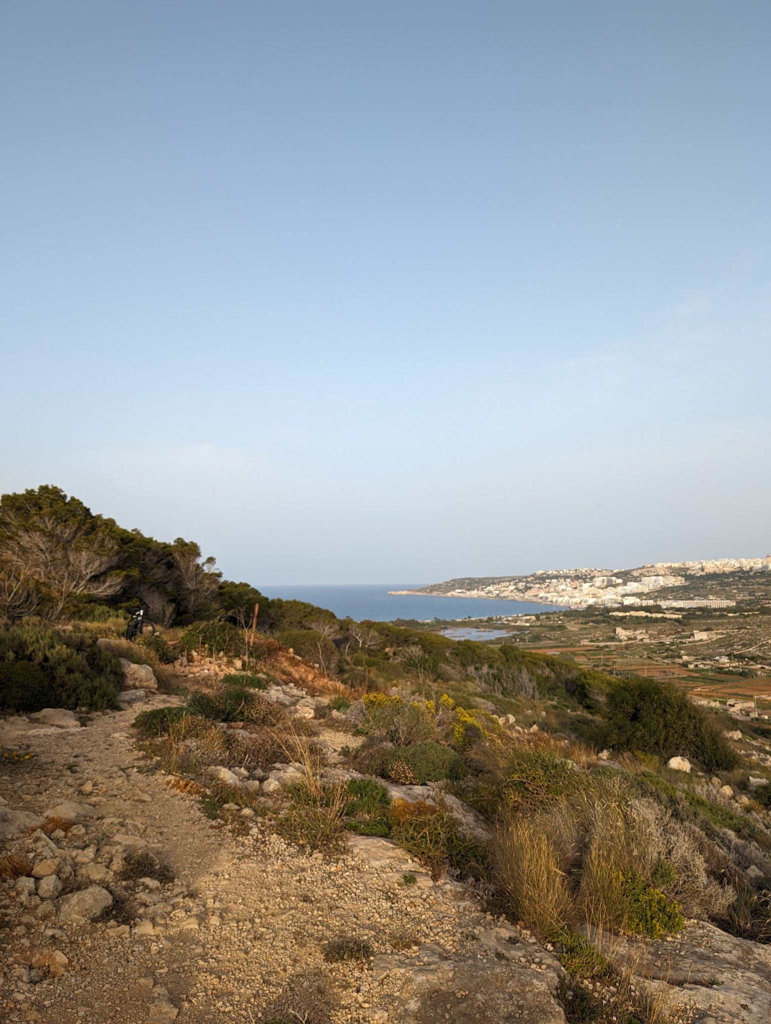 Foresta 2000 Sunset Walk (fully-booked) | BirdLife Malta
