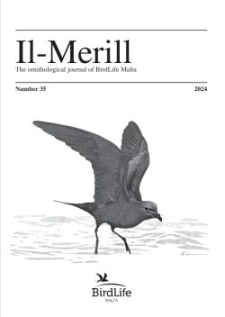Il-Merill | BirdLife Malta
