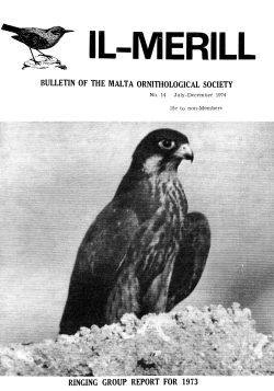 Il-Merill | BirdLife Malta