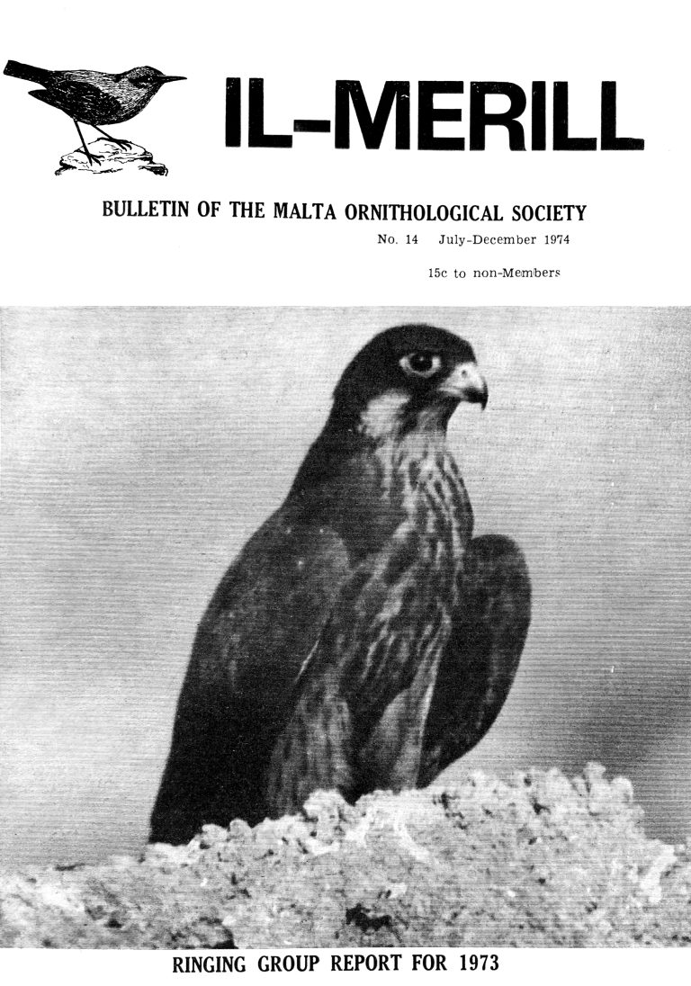 Il-Merill | BirdLife Malta