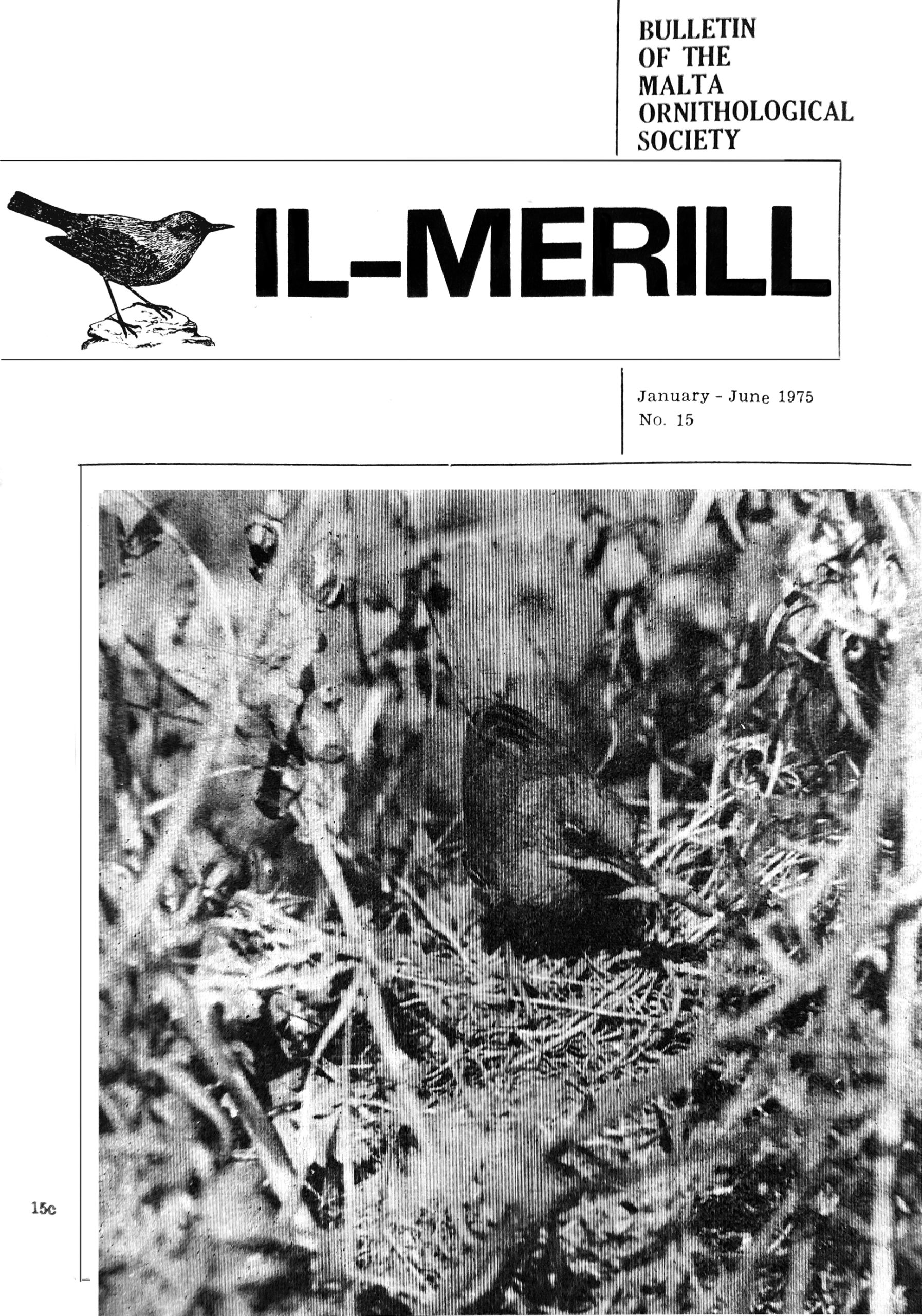 Il-Merill | BirdLife Malta
