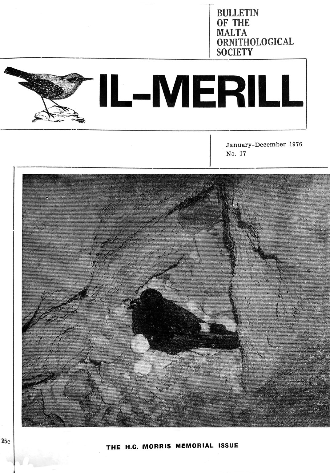 Il-Merill | BirdLife Malta